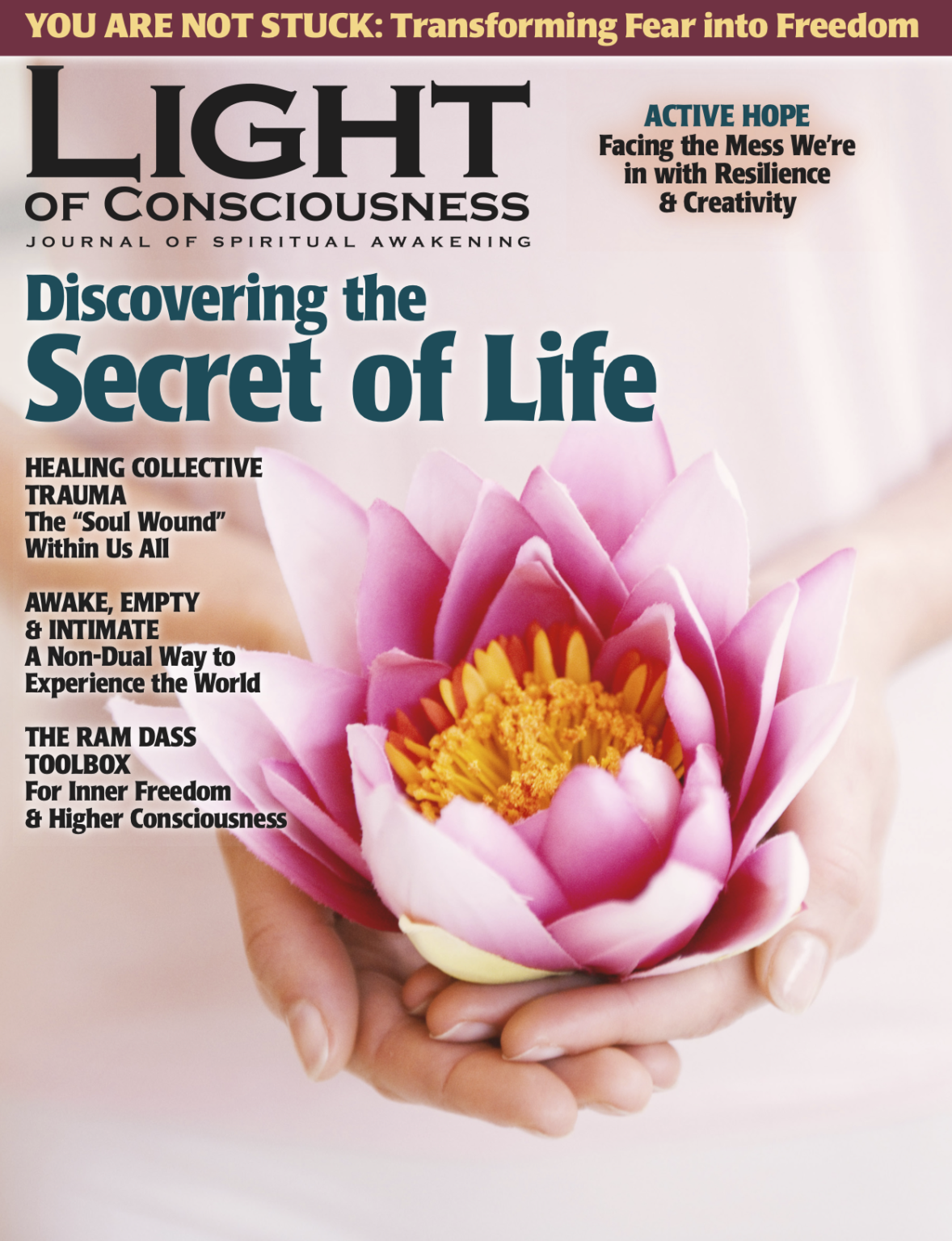Light of Consciousness a Spiritual Magazine | Inspirational Approach